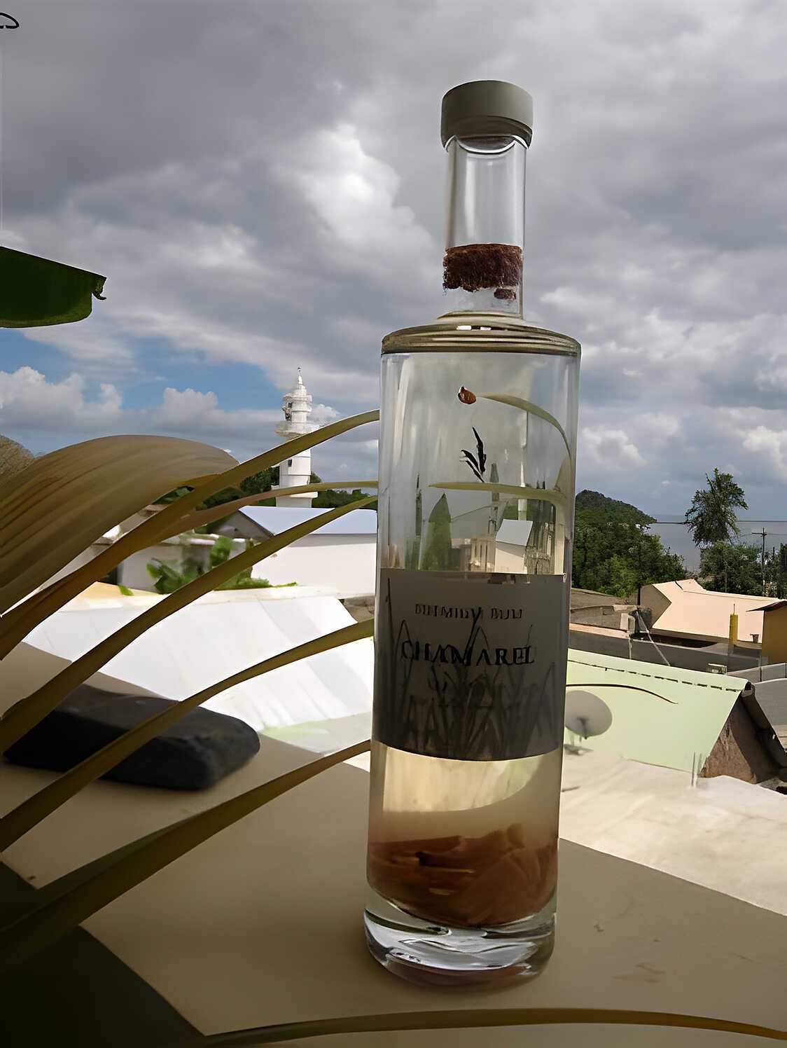Recette de Rhum arrangé très fort