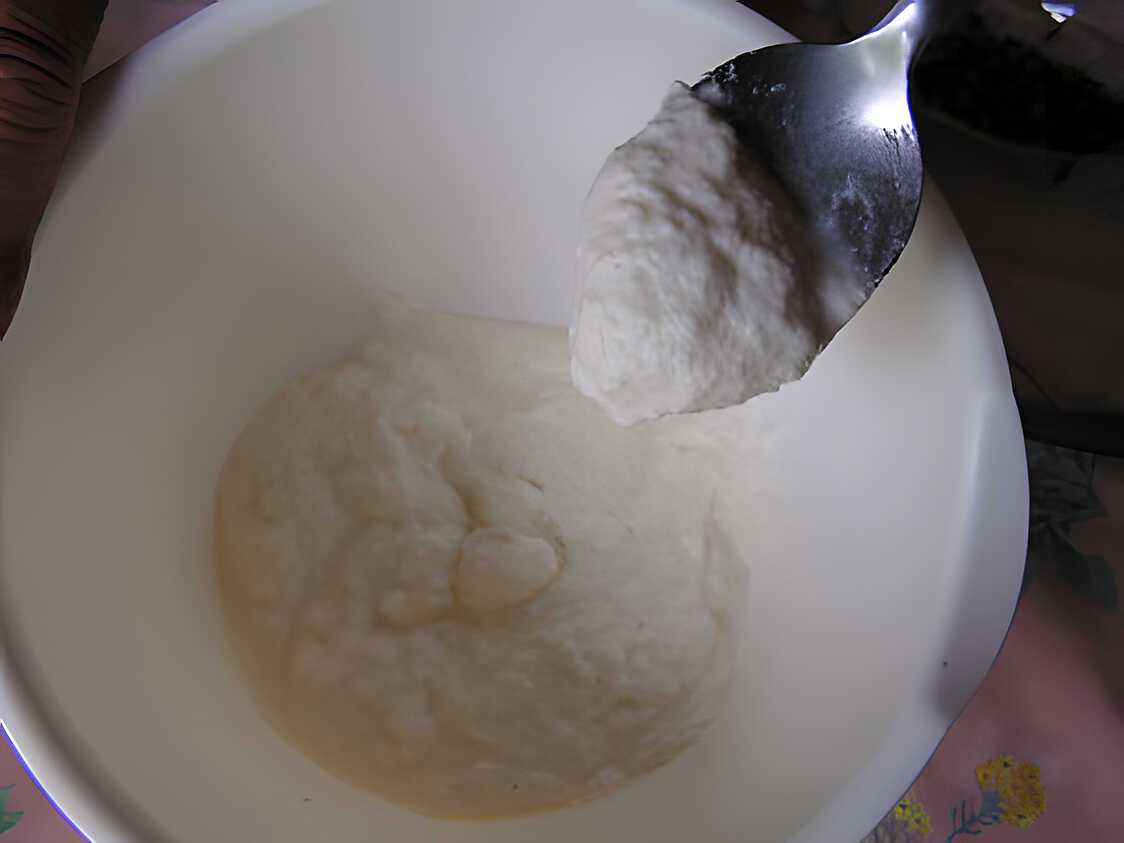 Recette de Fromage frais