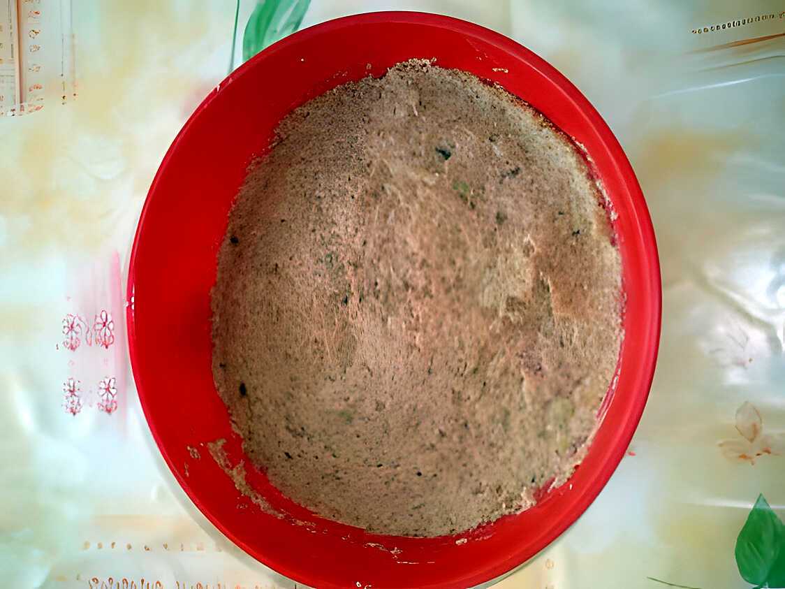 Recette de Rillette de poireaux kachir et vache qui rit