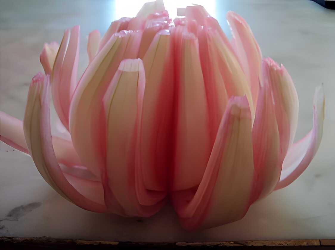 Recette d'Oignon en nénuphar rose