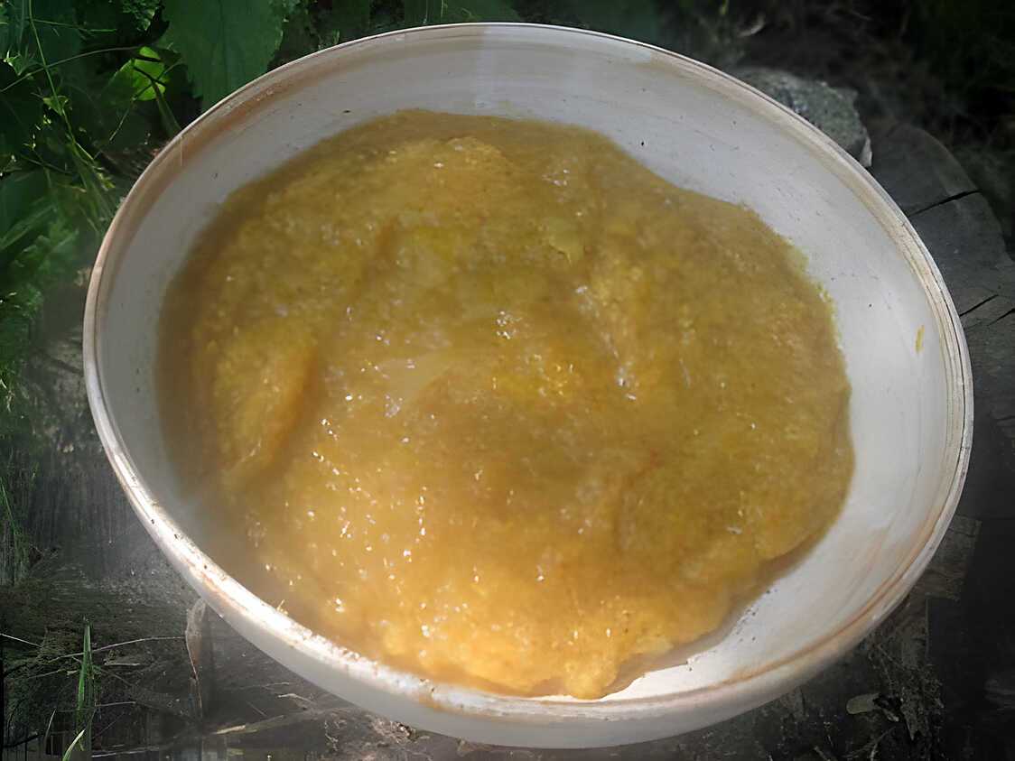 Recette de Compote de brugnons, pommes, épice badiane moulue.