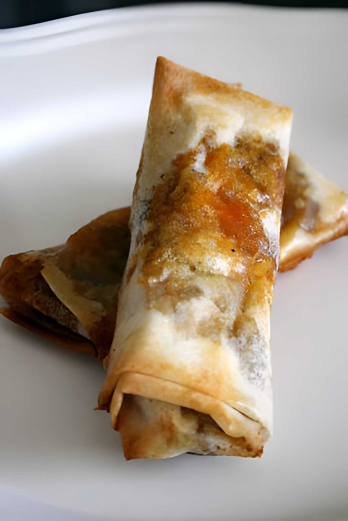 Recette de Bricks à la viande par Ladyhel