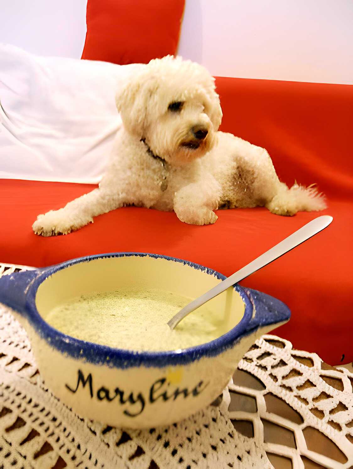 Recette de POTAGE A LA TETRAGONE