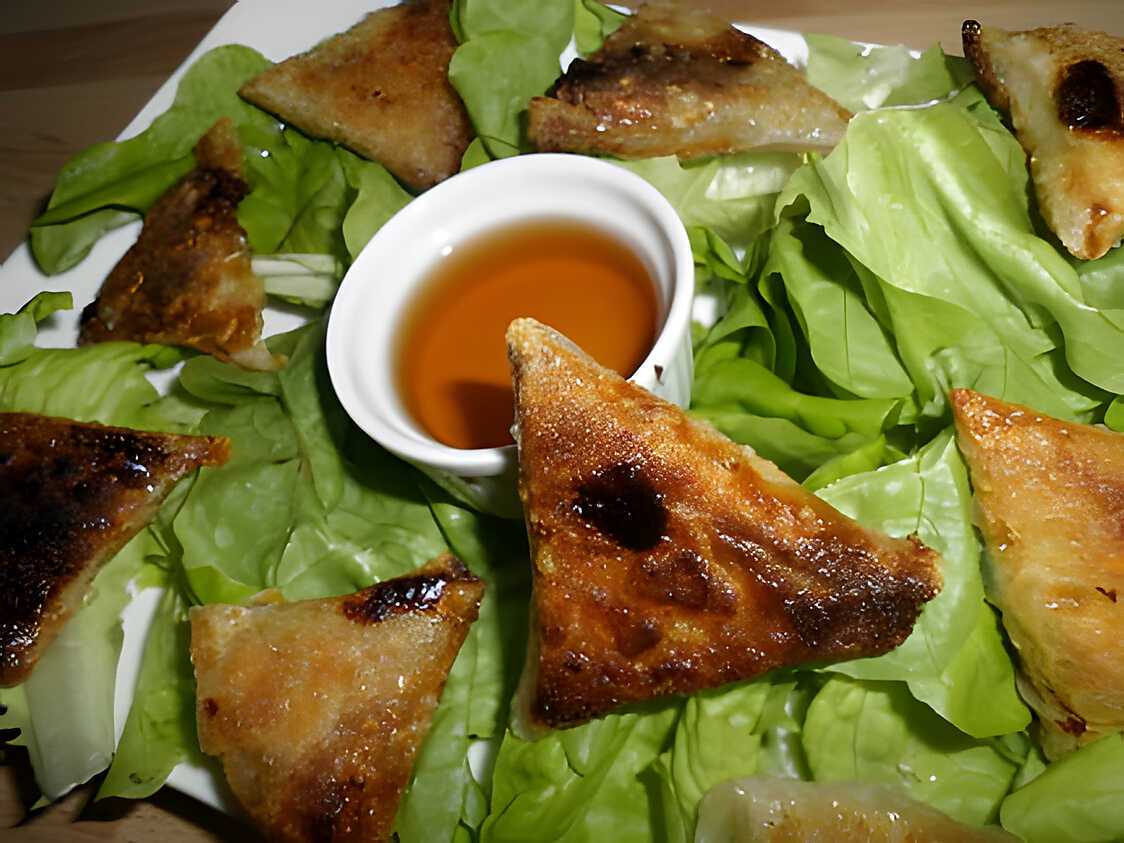 Recette de Samoussa au thon et curry