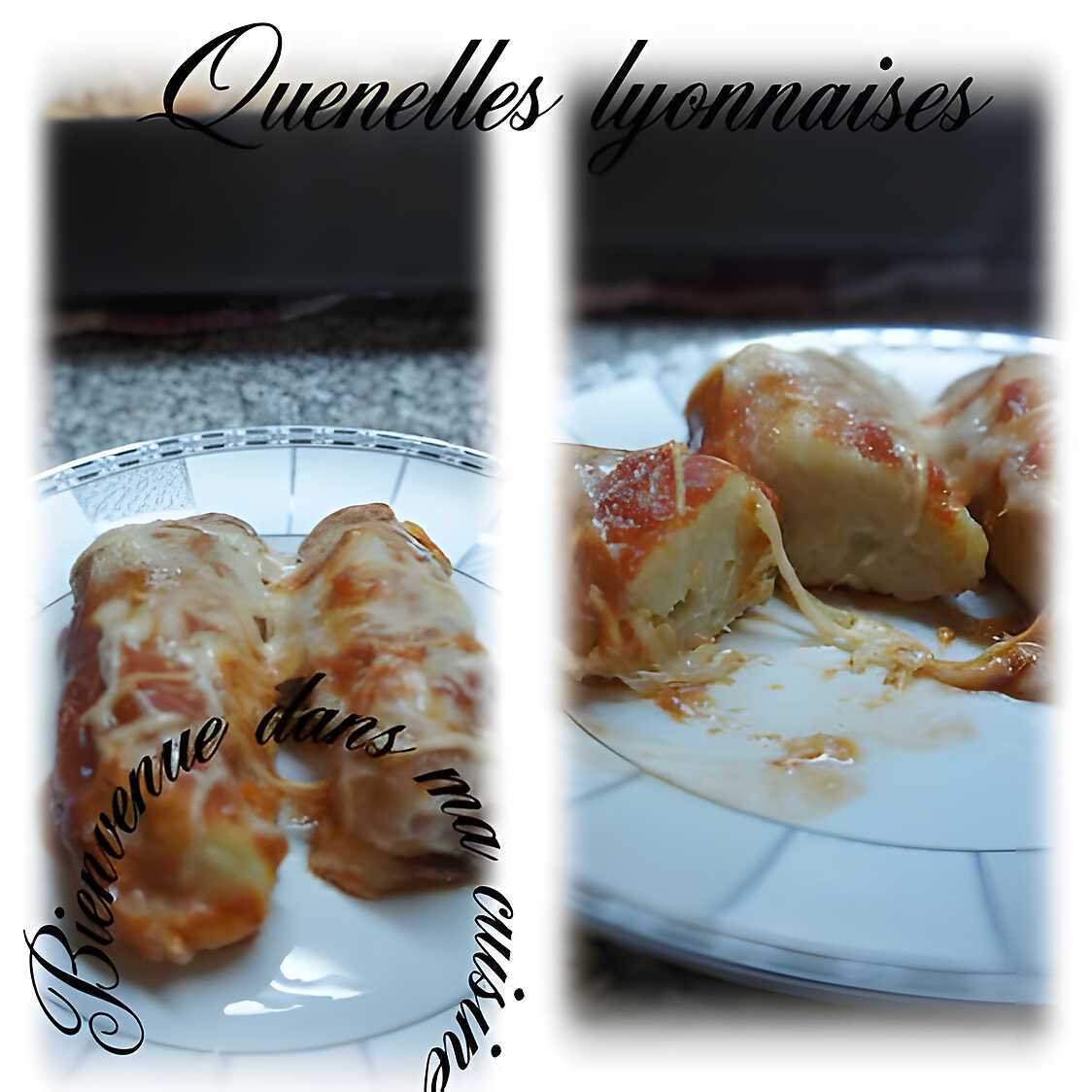 Recette de Quenelles lyonnaises par cece69