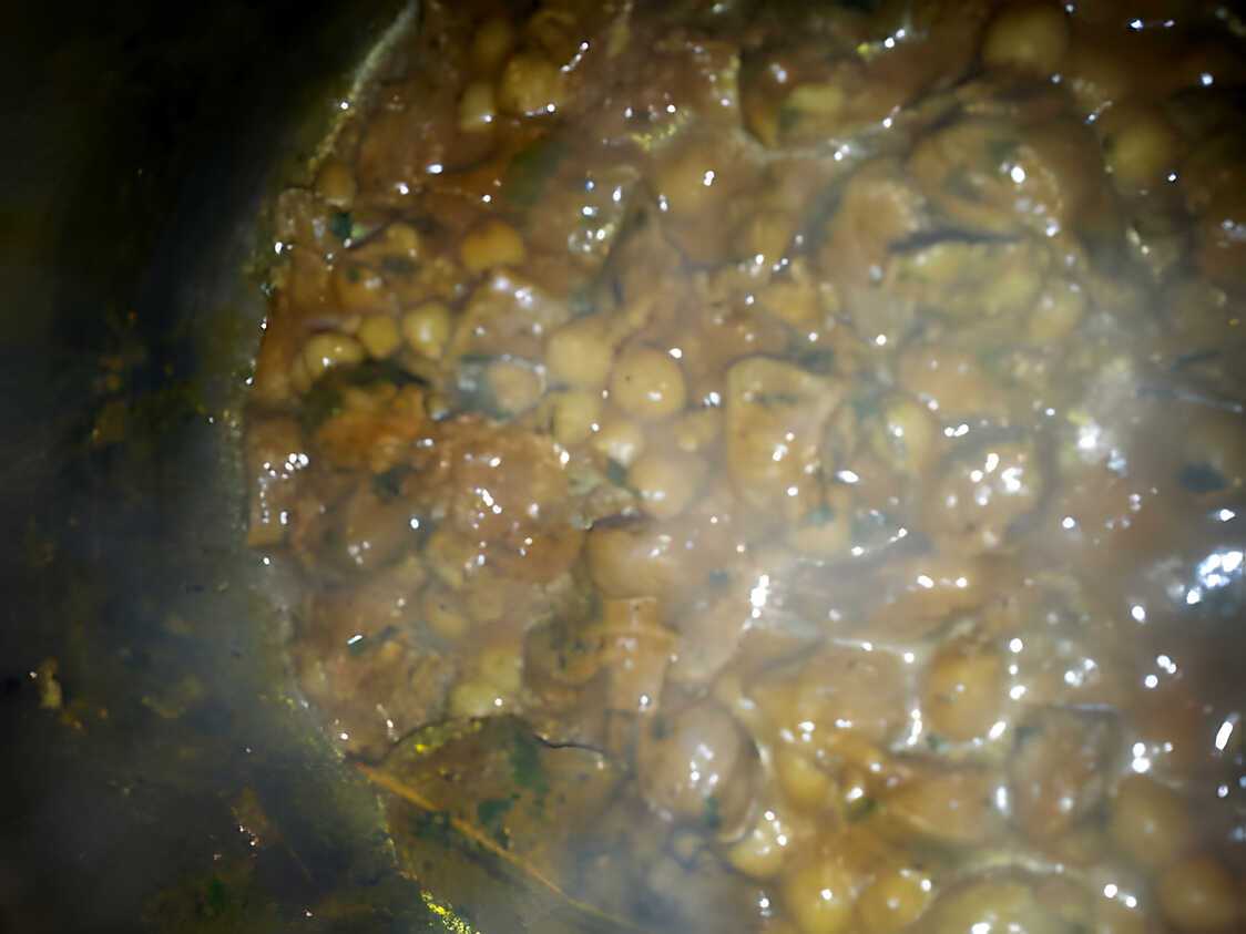 Recette de Gisier de poulet à l'oriental