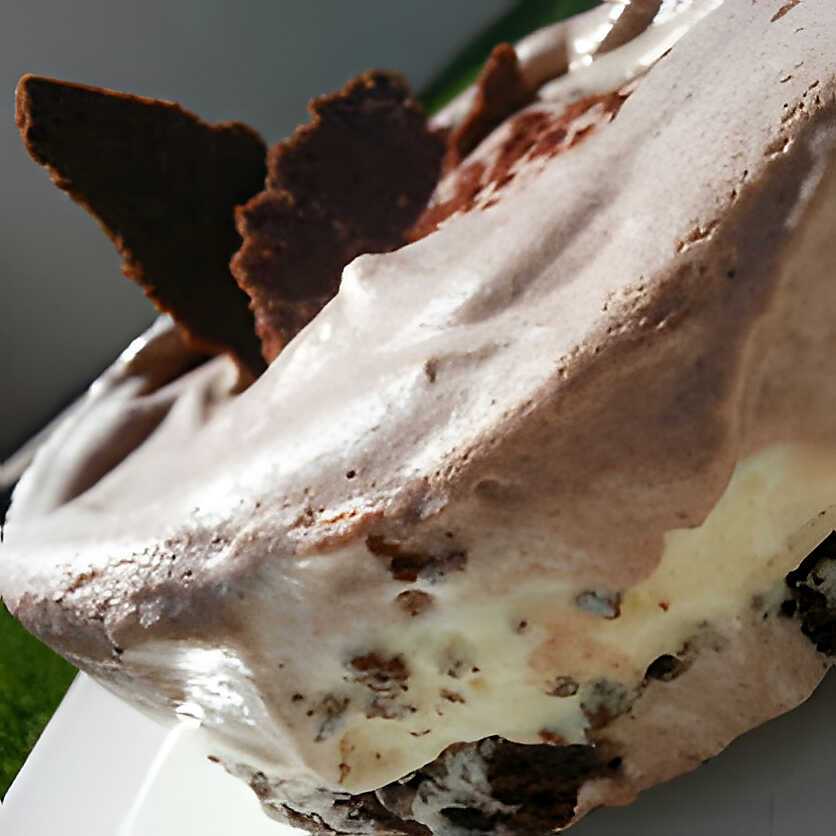 Recette de Gâteau Glacé au Chocolat par lesdelicesdelaure