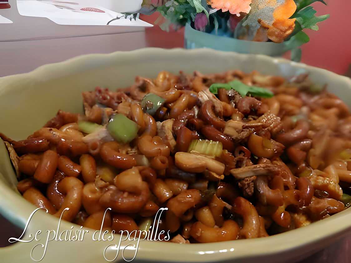 Recette de ~Mon macaroni chinois~ par Choupy
