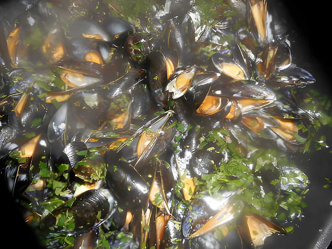 Recette de Moule de bouchot au bleu d auvergne