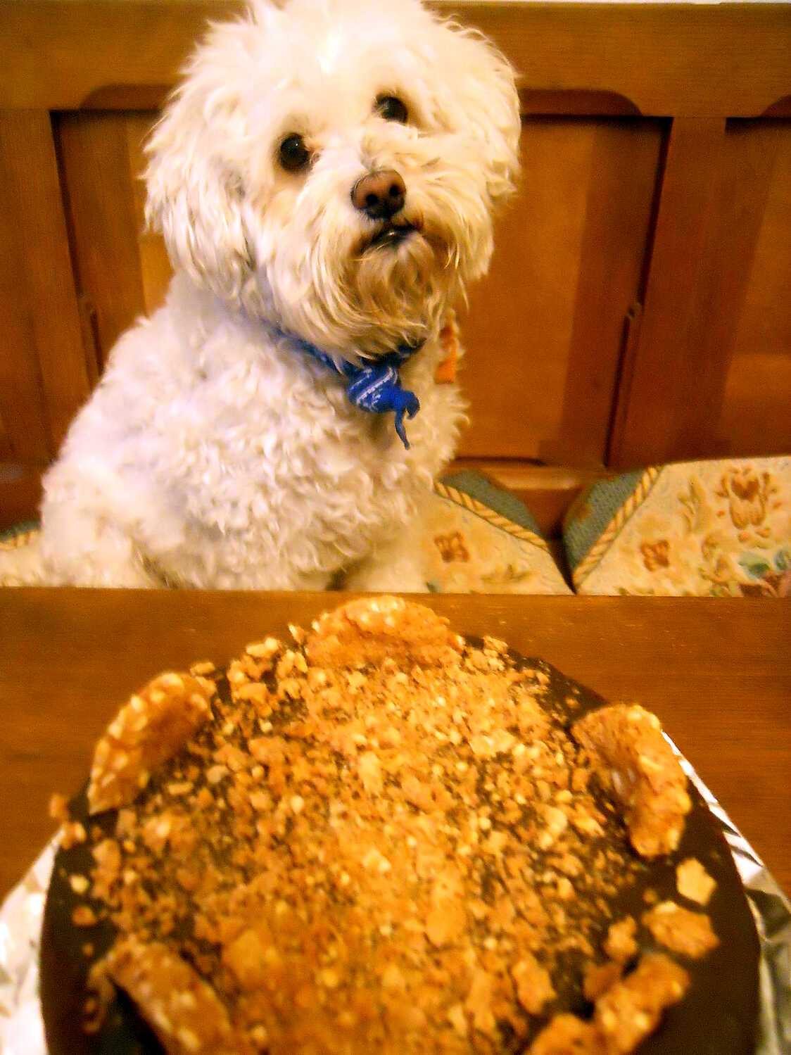 Recette de DÉLICE AU CARAMEL BEURRE SALE par Mirabelle 54