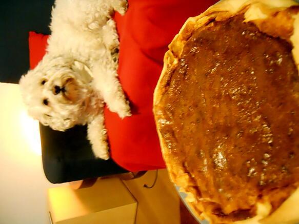 Recette de TARTE AU MUNSTER ET CUMIN par Mirabelle 54 Recette de TARTE AU MUNSTER ET CUMIN par Mirabelle 54