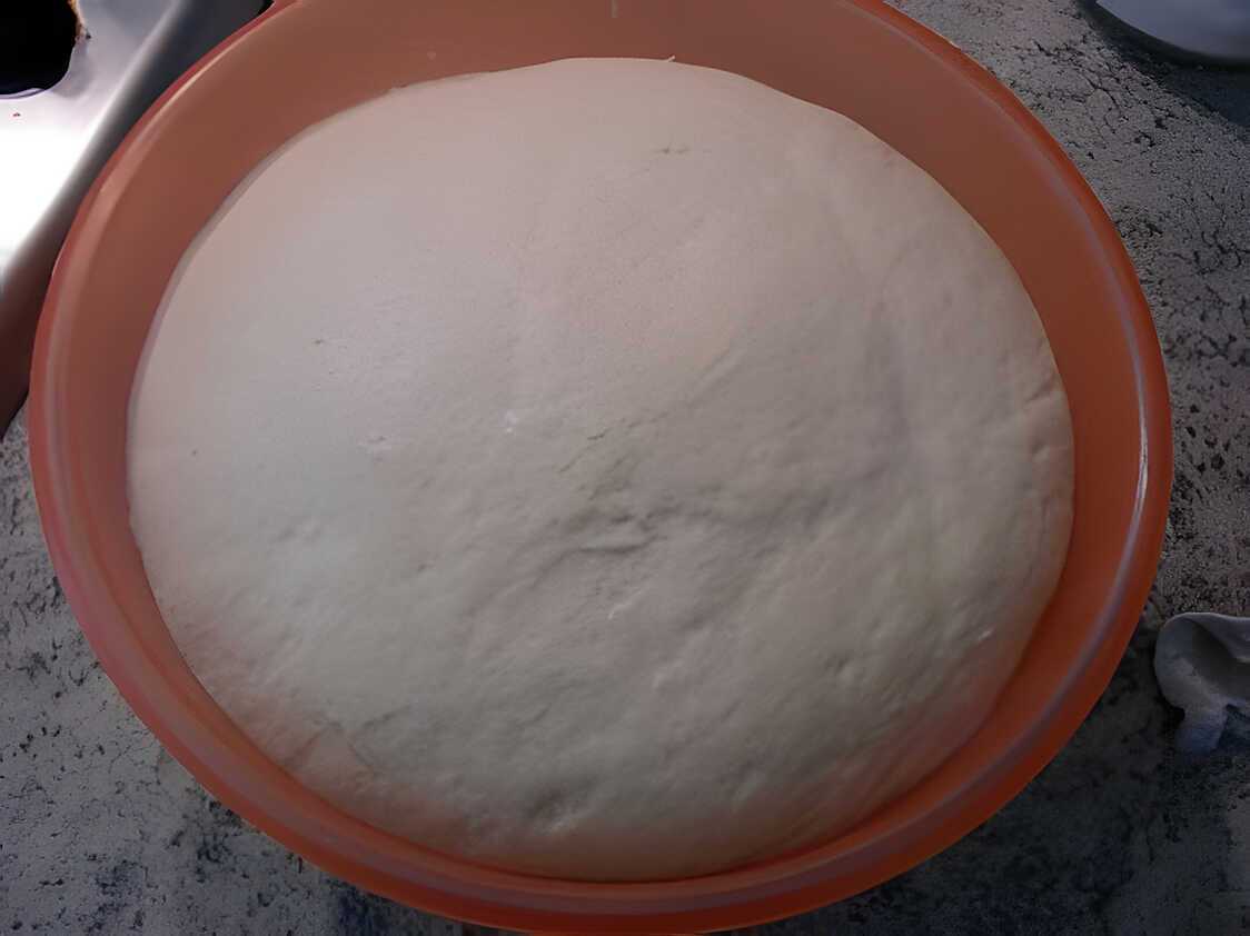 Recette de PÂTE LEVÉE