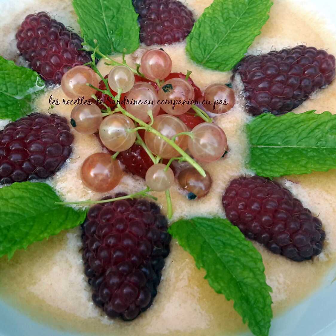 Recette de Soupe de melon et sa nage de fruits du jardin (groseilles ...