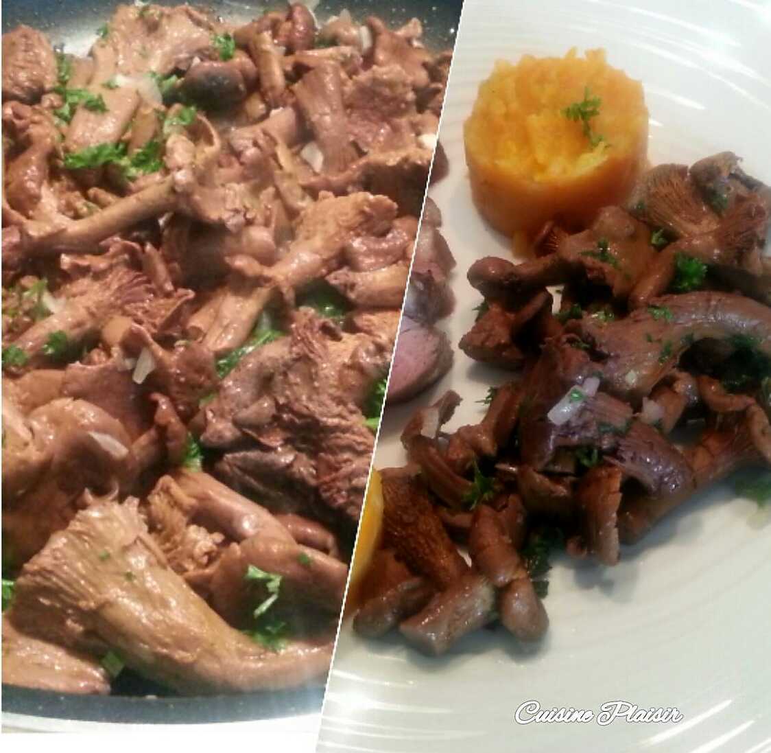 Les meilleures recettes de pleurotes