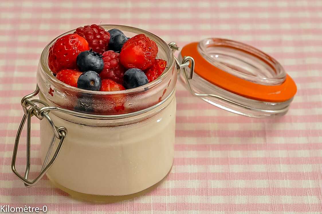 Recette de Panna cotta à l'agar agar et aux fruits rouges