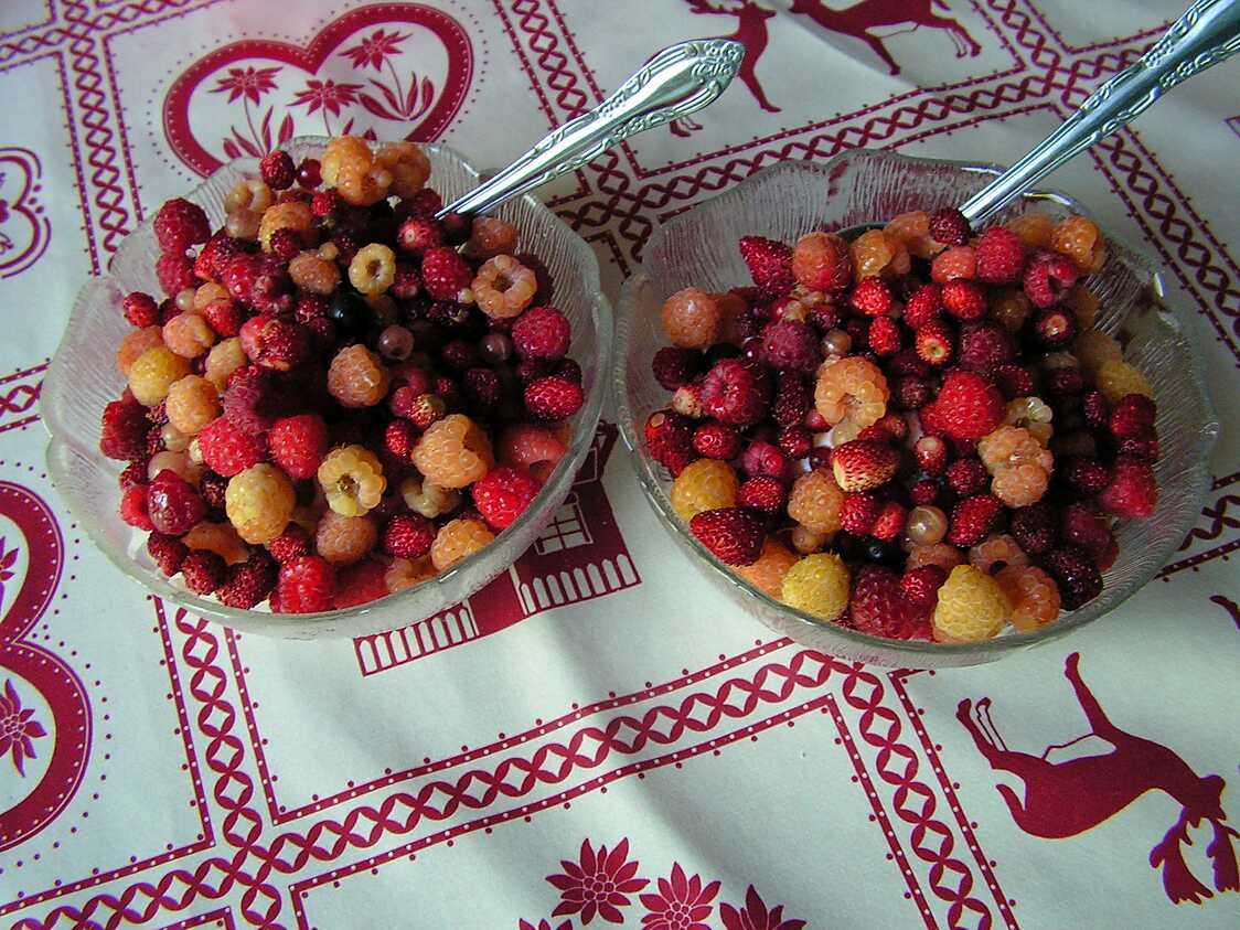 Recette de Fruits d'été à la crème battue