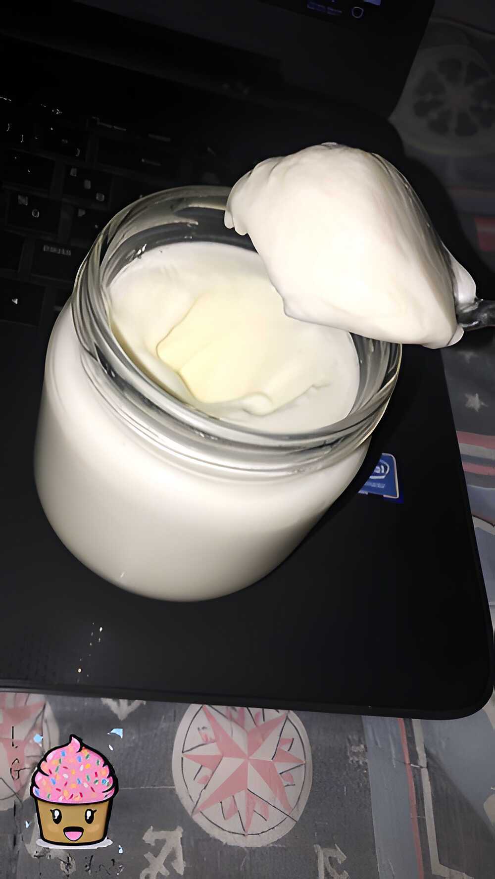 Recette de YAOURT AU LAIT CONCENTRÉ.