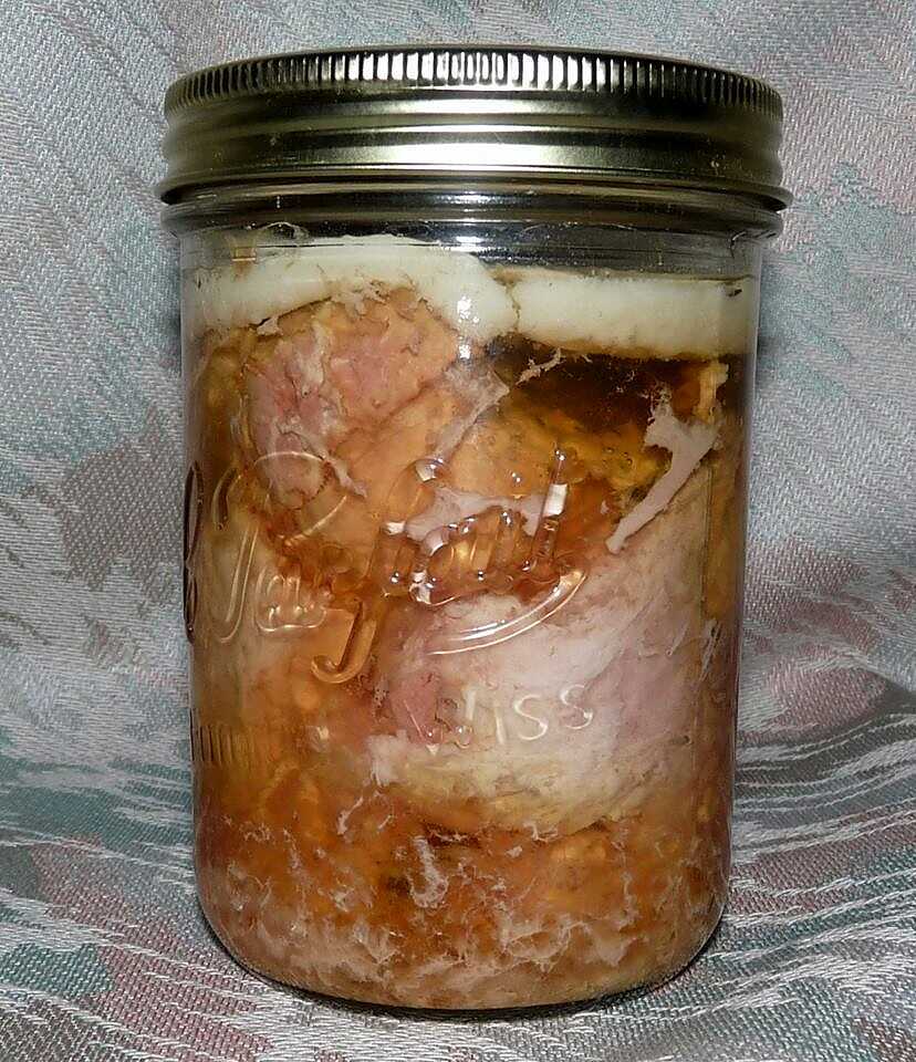 Recette de Conserve de rôti maison