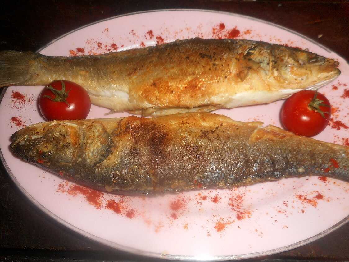 Recette de Bar frit sauce au yaourt et fenouil