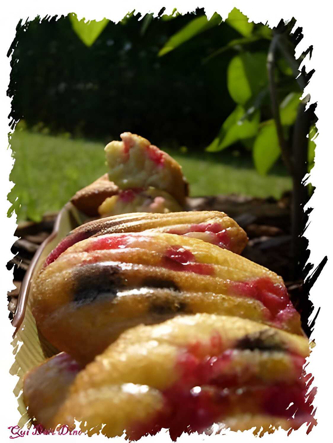 Recette de Madeleines "groseilles"