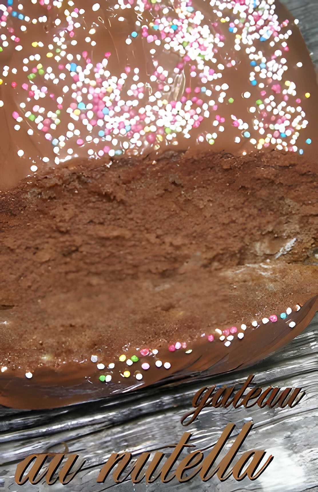 Recette de Gateau au nutella par cece69