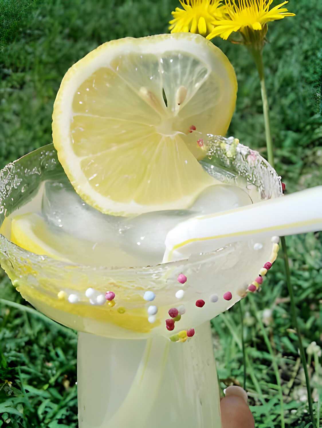 Recette de Citronnade maison