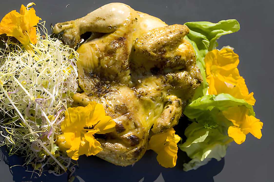 Les meilleures recettes de poussin