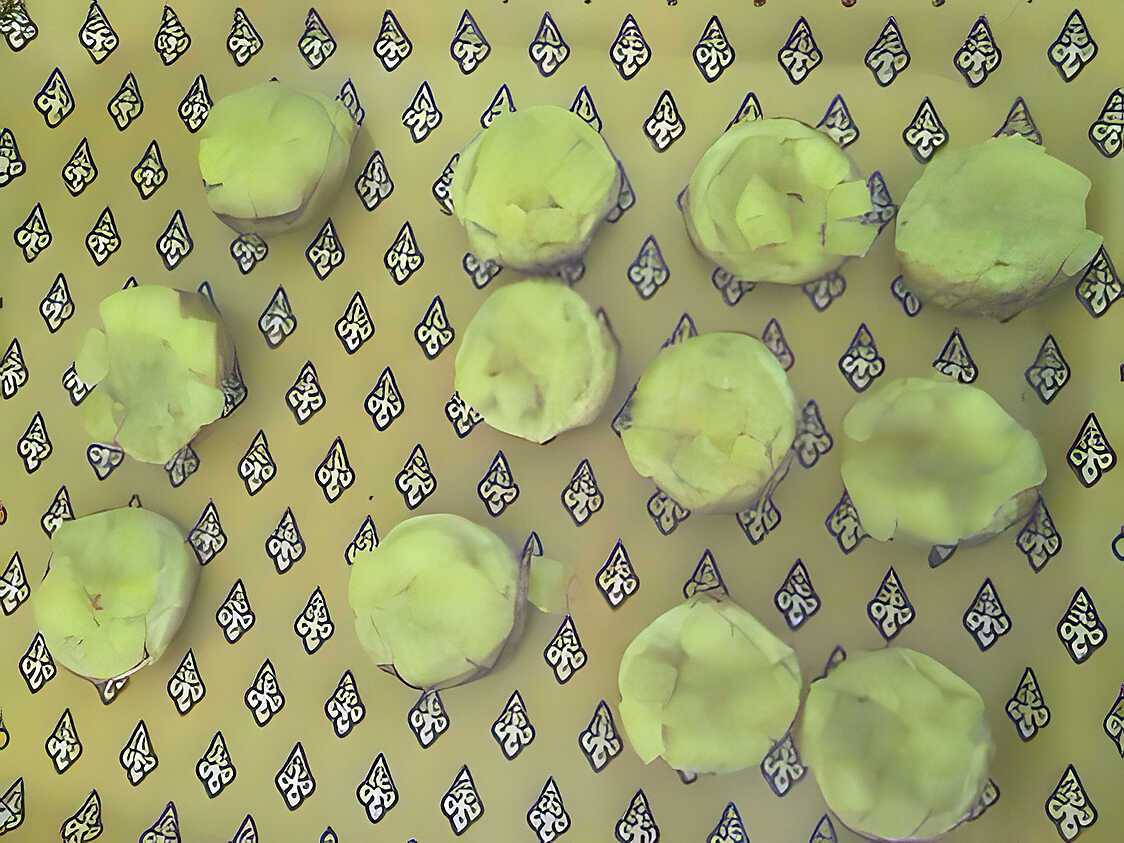 Recette de Mini tarte tatin