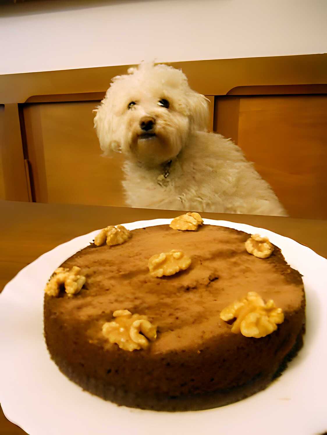 Recette de DELICE CHOCO-NOIX