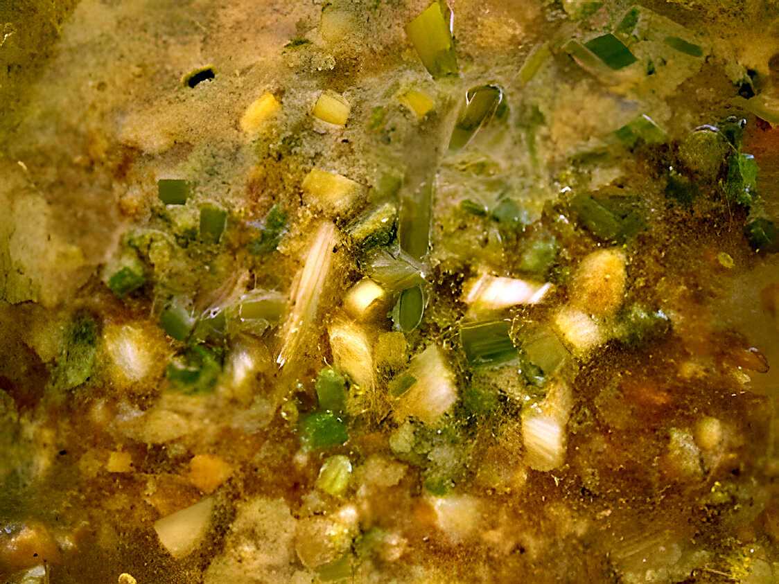 Recette de Halim (soupe mauricienne)