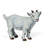 Recette de Chevreau à l'ail vert et aux aromates