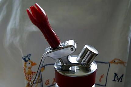 Recette de Chantilly au siphon par Mamyloula