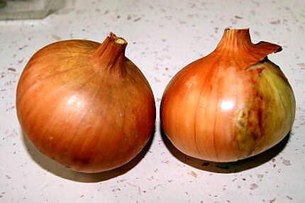 Recette d'Oignons au four