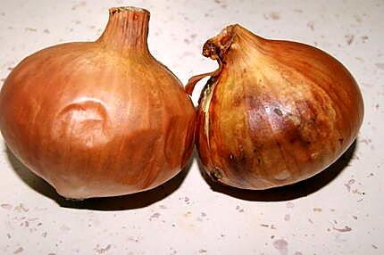 Recette d'Oignons au four