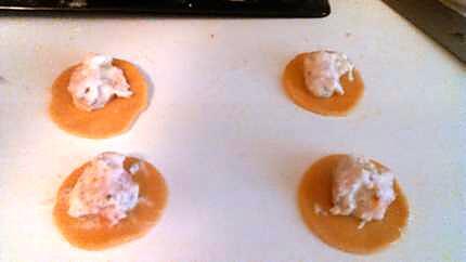 Recette de Ravioles ricotta porc a la sauce tomate