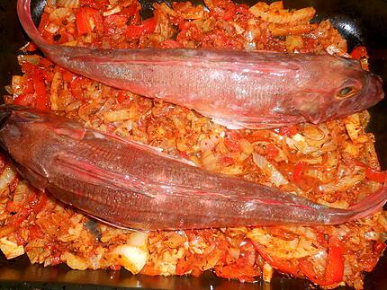 Recette de Rouget grondin à l italienne