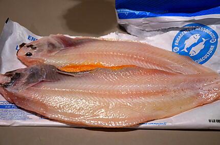 Recette de SOLE MEUNIERE AUX CAPRES ET JUS DE CITRON