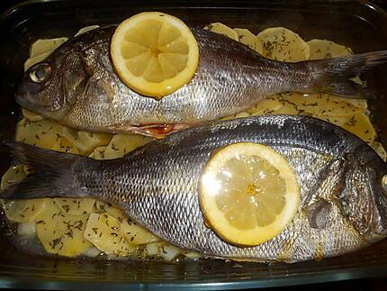 Recette de Dorade grise a l ail et pommes de terre(besugo al horno patatas)