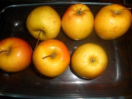 Recette d'Oie farcie roti avec ses pommes aux airelles